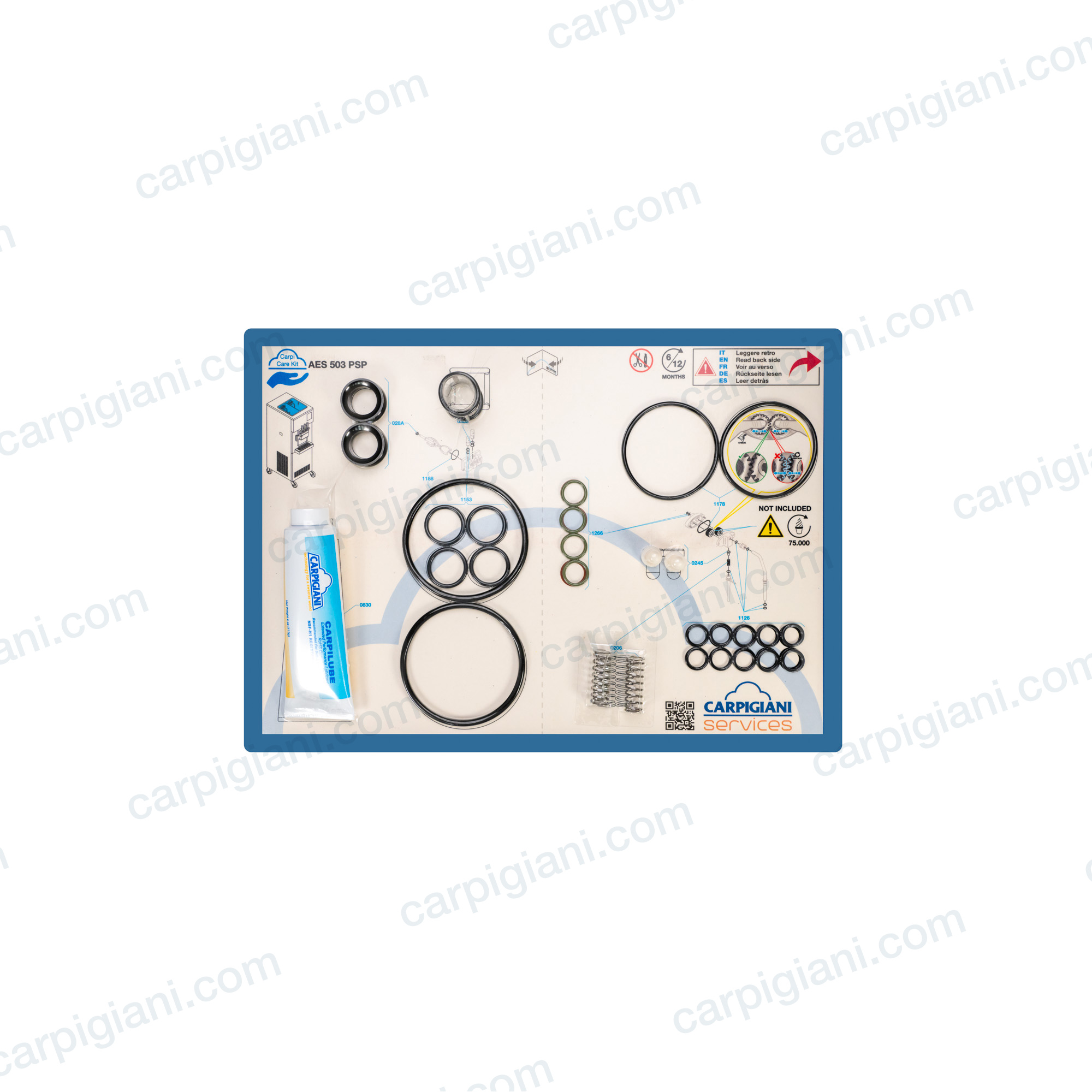 CARPICARE KIT AES 503 PSP - Shop Carpigiani